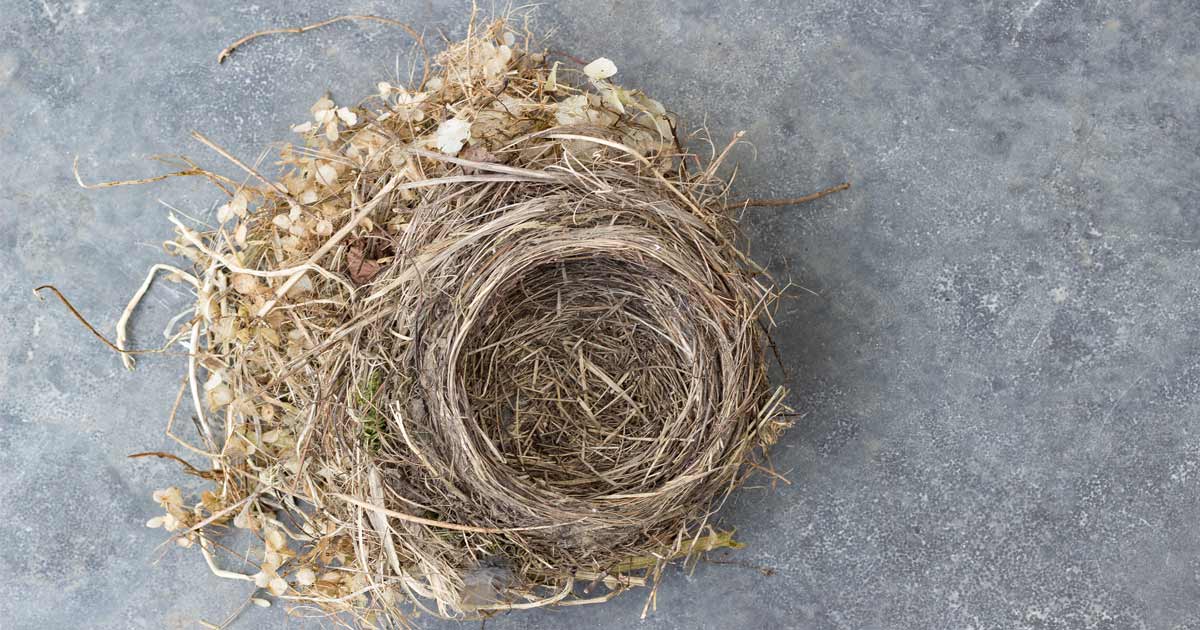 Commercial and Home Made Nesting Materials