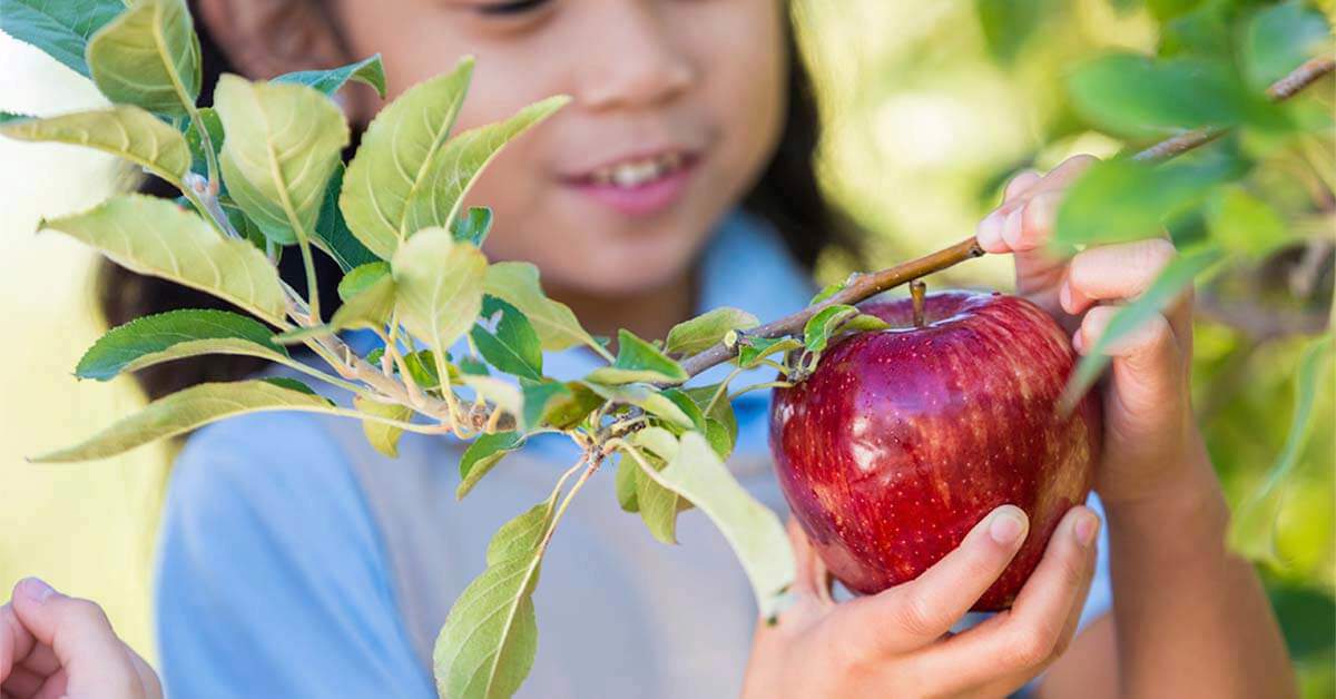 What You Need to Know About Food Deserts