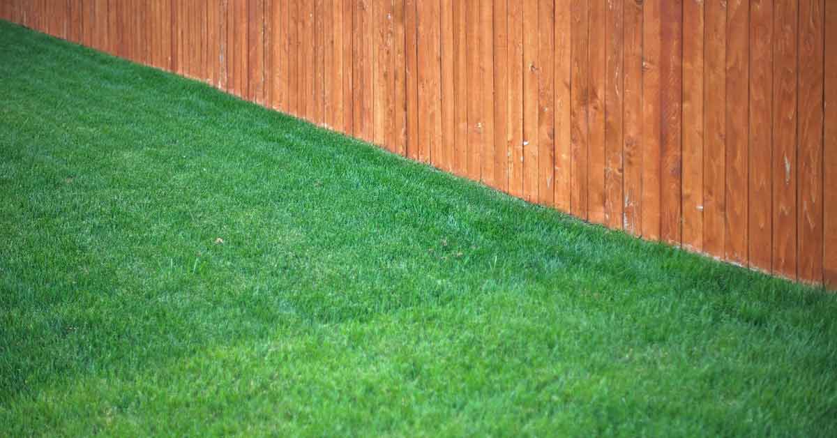 Fall Season Fertilizer and Weeding Tips