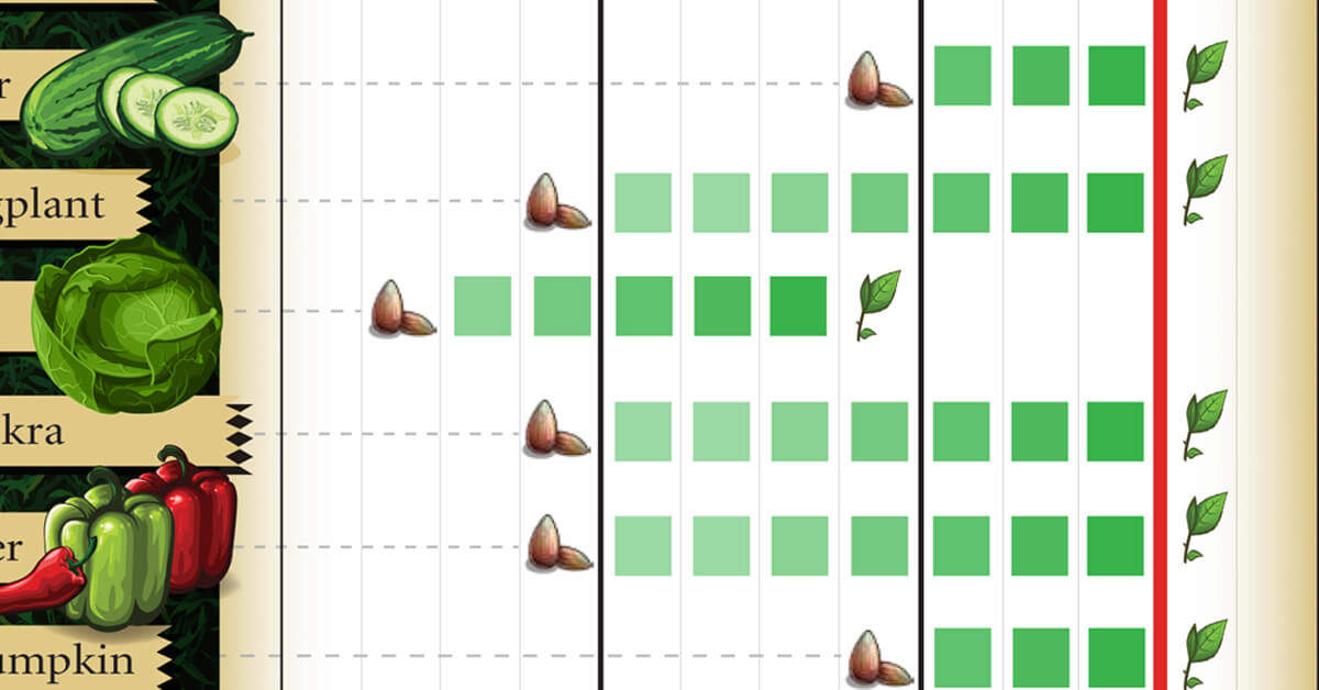 When to Start Indoor Vegetable Seeds
