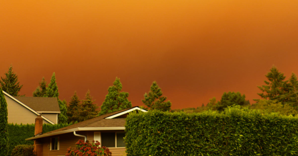 Firescaping: How to Protect Against Wildfires With Fire-Resistant Plants