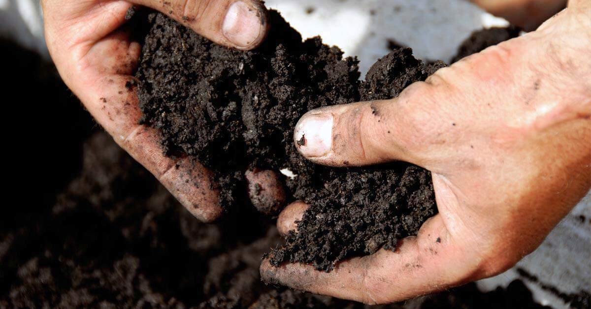 Why and How to Contact Your Local Extension Agents