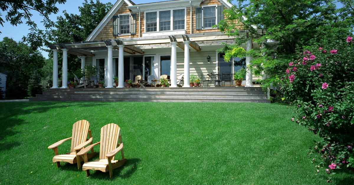 How to Read a Grass Seed Label