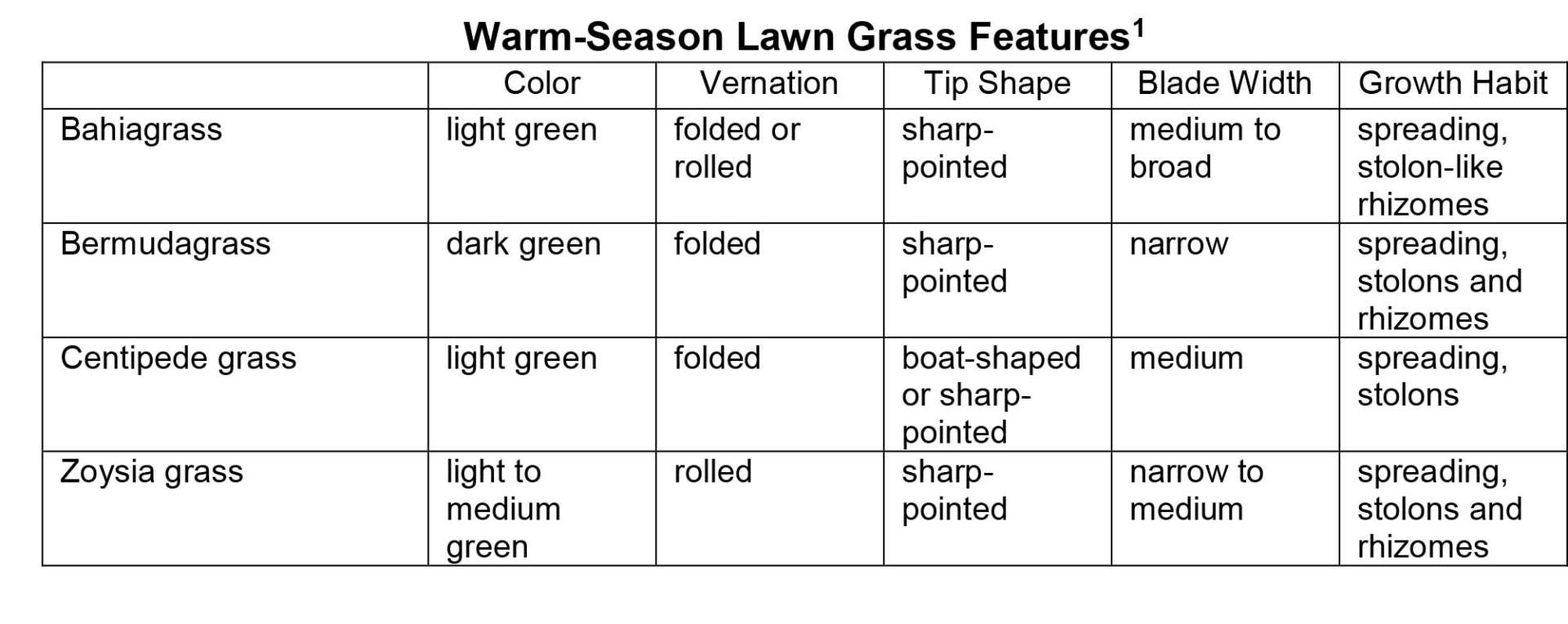 How to Identify Your Lawn Grass