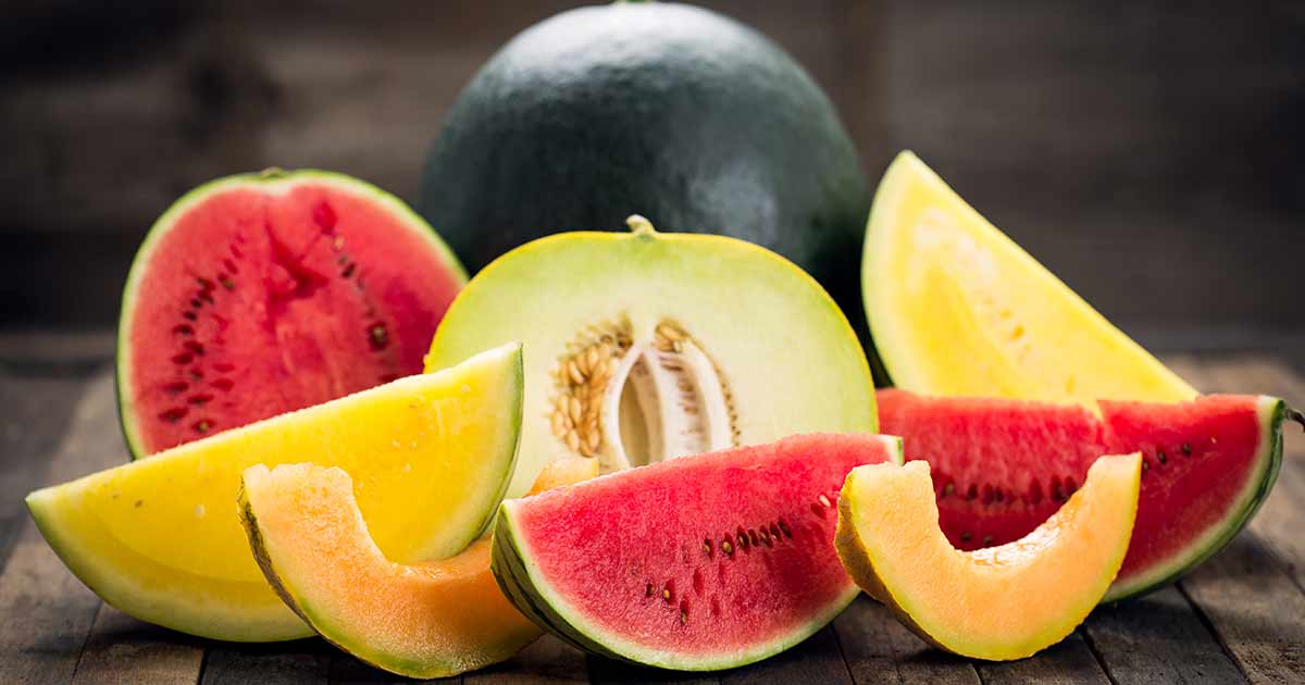 How to Grow Melons