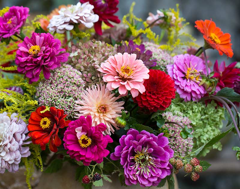 How To Start A Flower Garden How To Start A Flower Garden