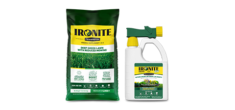 Ironite Plant Fertilizer | Pennington
