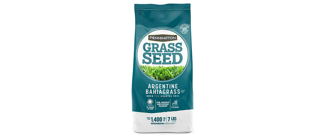 Argentine Bahia - Grass Seed | Pennington